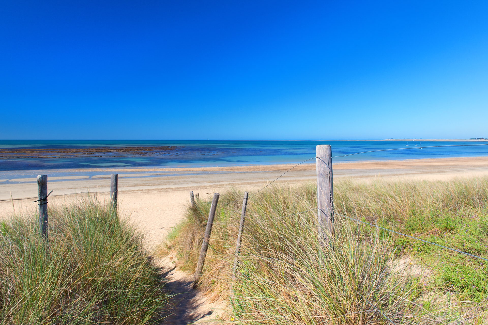 Les Plus Belles Plages de l'île de Ré : Un Guide Sableux et Ensoleillé ...
