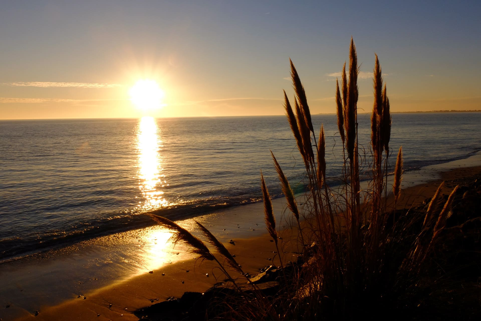 Les Plus Belles Plages de l'île de Ré: Un Guide Sableux et Ensoleillé ...