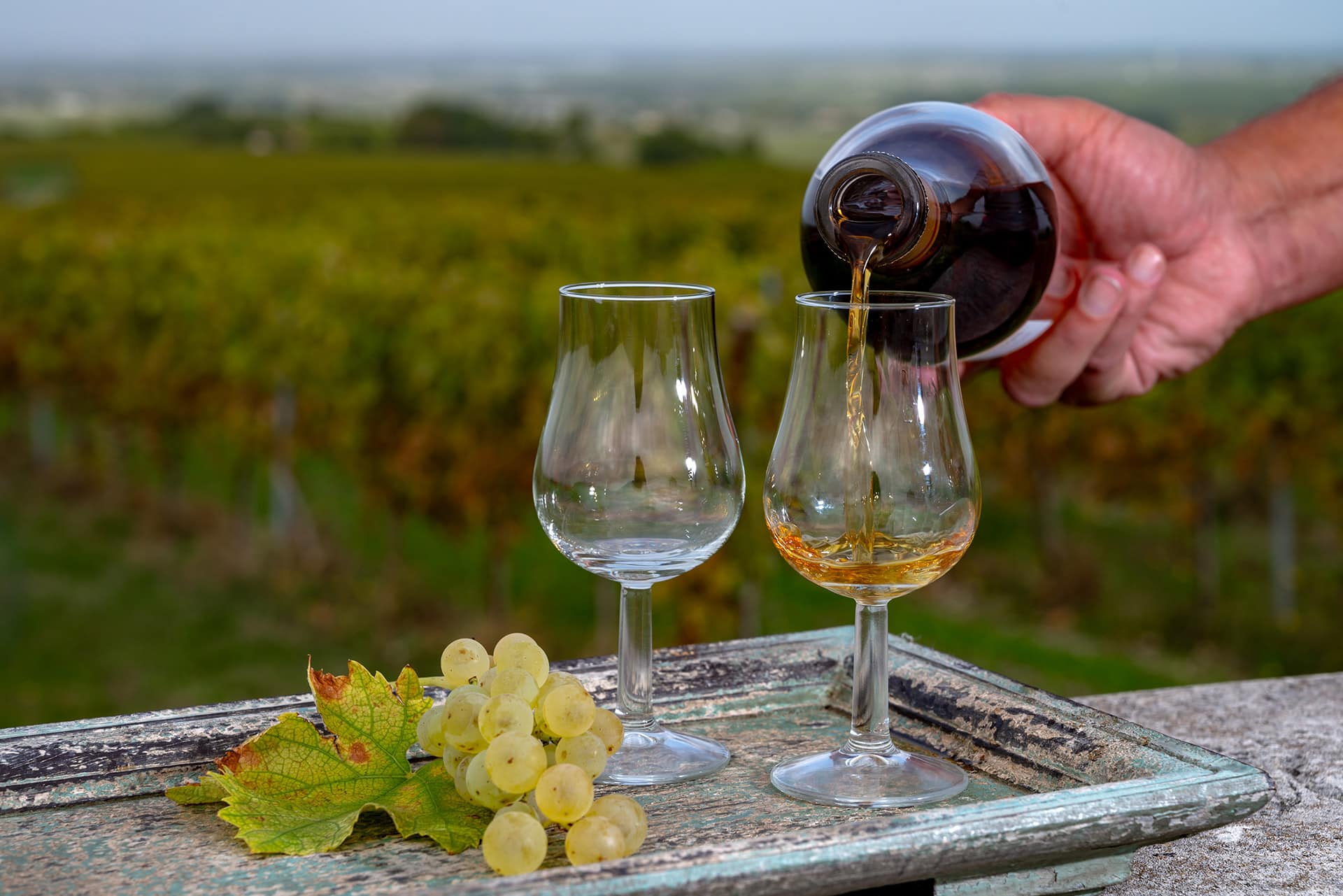 A Feast of Local Flavors with specialties from Île de Ré | Romanée